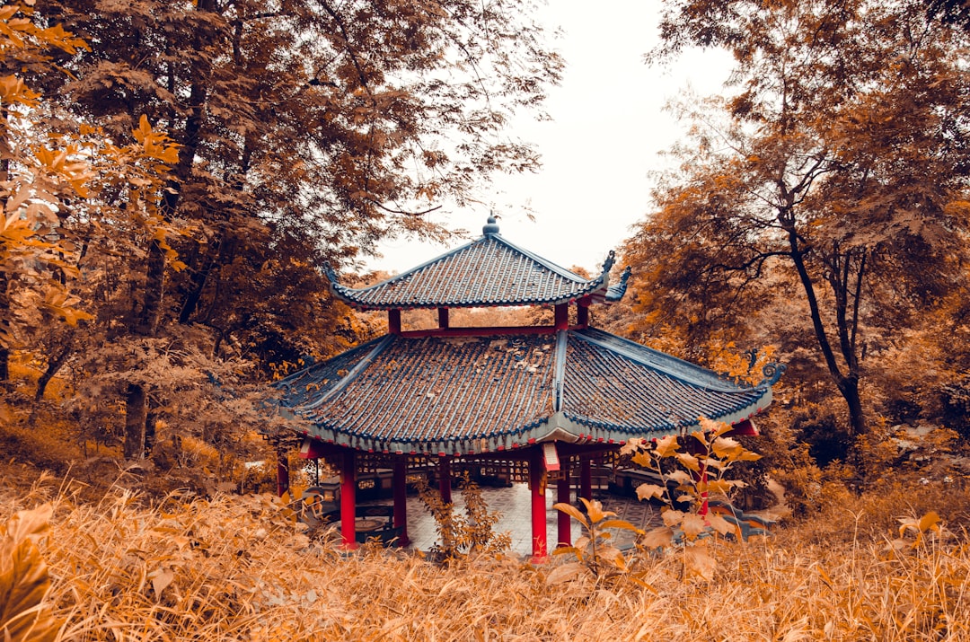 Who Named It ‘Hangul’? The Hidden Story of Teacher Ju Si-gyeong